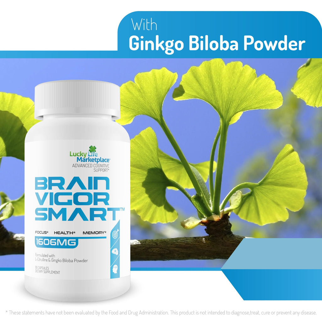 ginkgo biloba fruit extract advantages