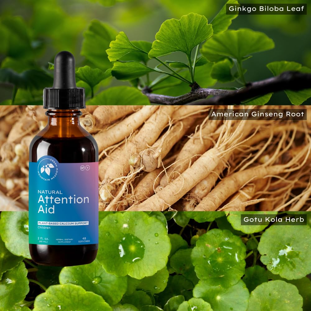 ginkgo biloba fruit extract benefits