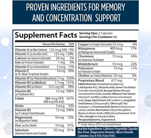 ginkgo biloba fruit extract benefits