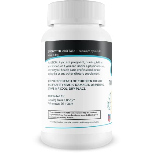 ginkgo biloba fruit extract for brain health