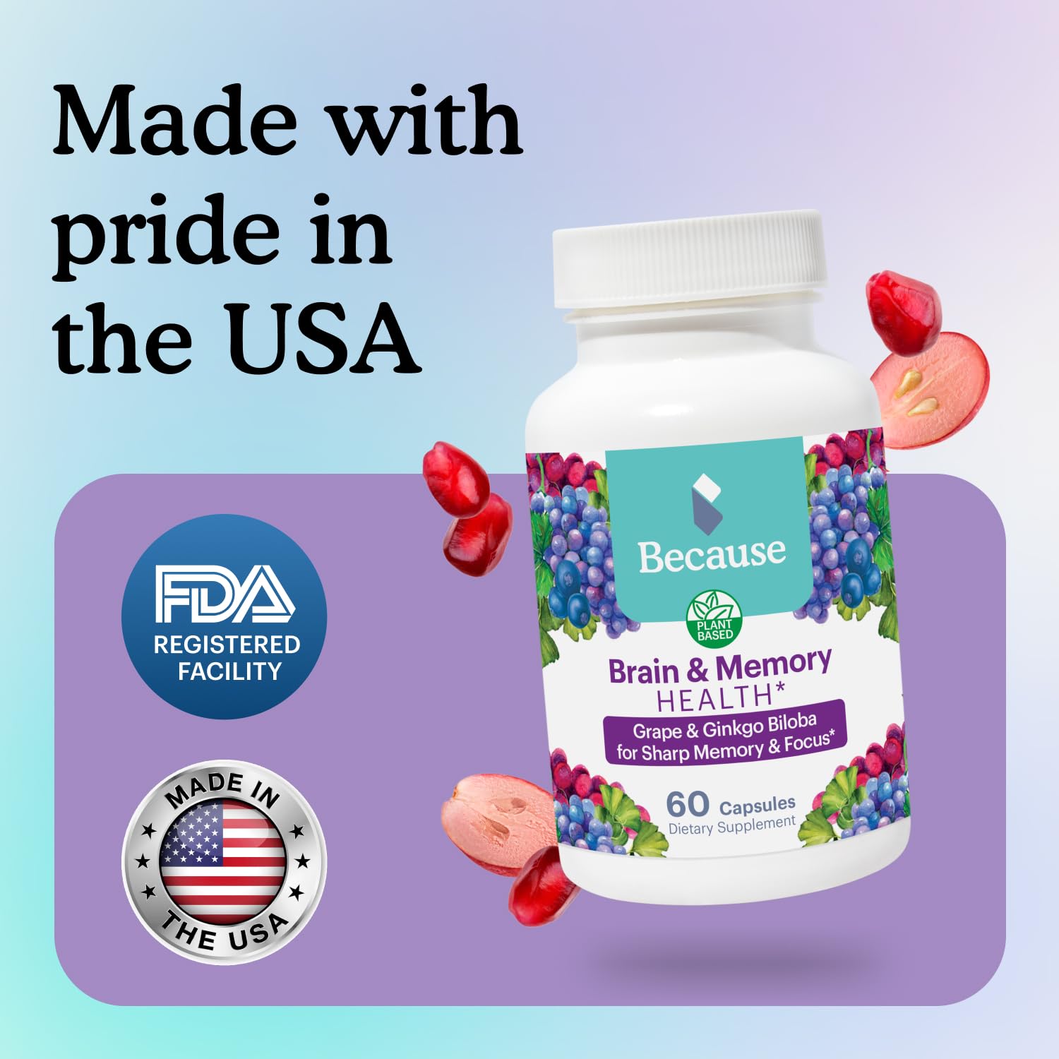 ginkgo biloba fruit for enhanced cognition