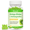 ginkgo biloba gummies for focus