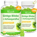 ginkgo biloba gummies for focus