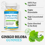 ginkgo biloba gummies for focus