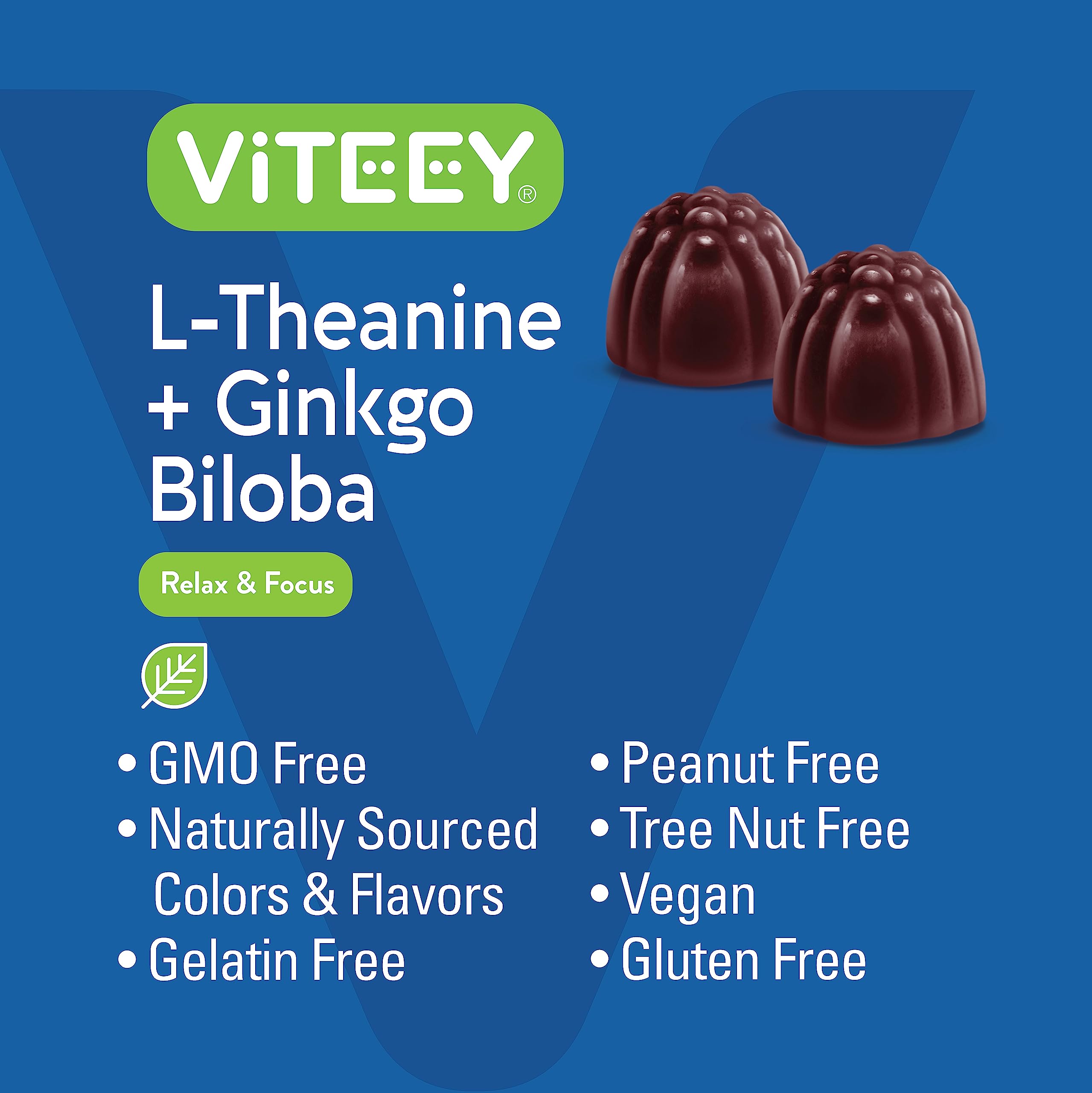 Ginkgo biloba gummies for improved focus