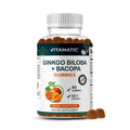 ginkgo biloba gummies for memory