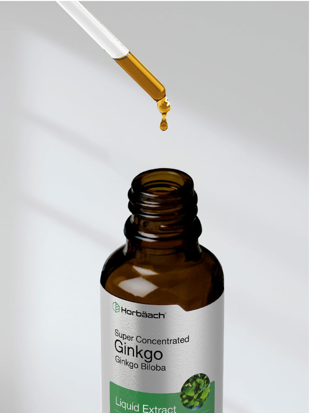 ginkgo biloba health supplement