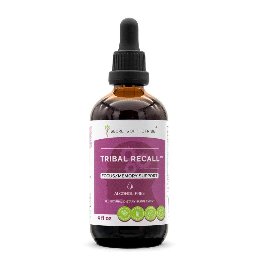 ginkgo biloba herbal extract tincture
