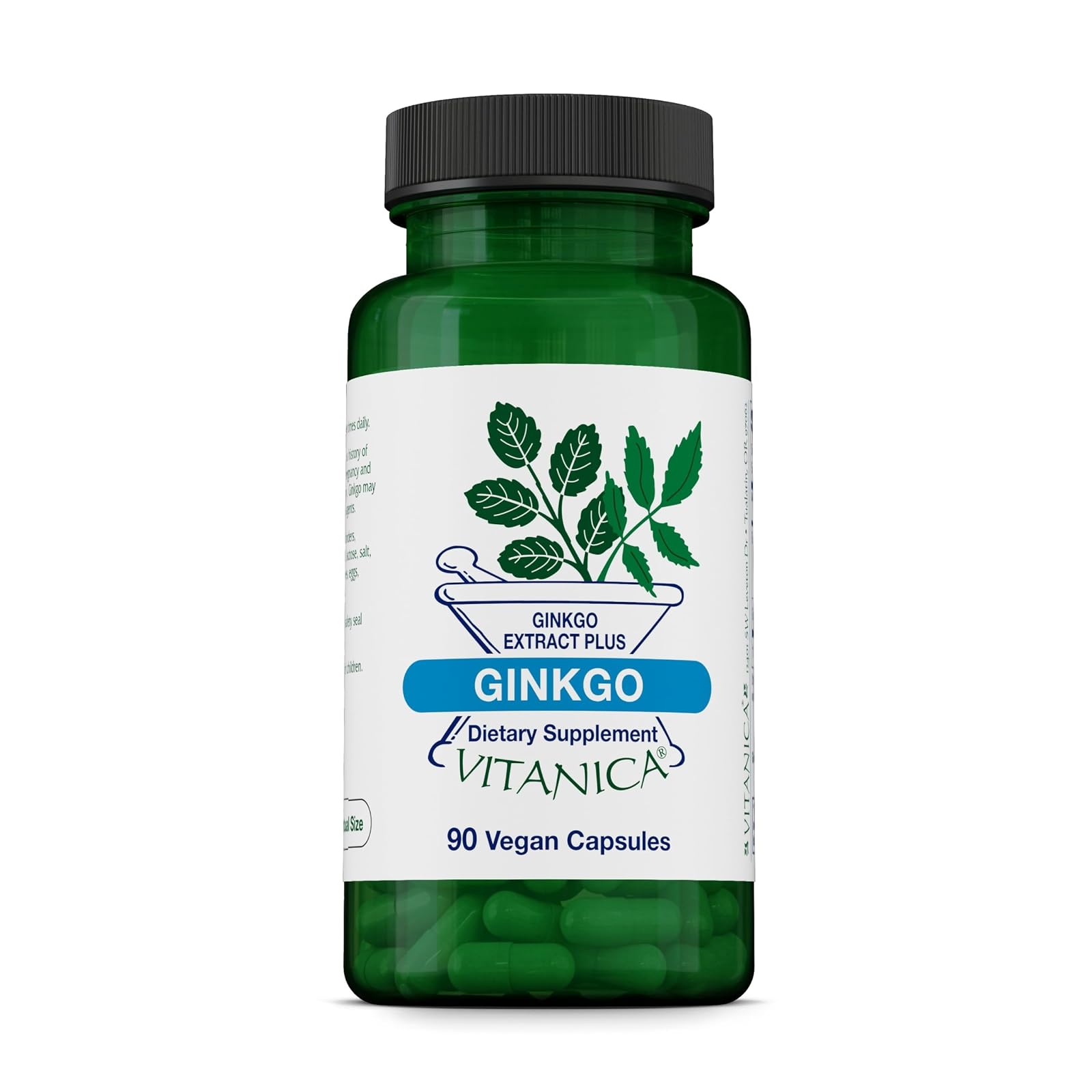 ginkgo biloba herbal supplement benefits