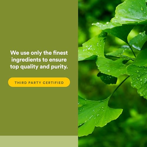 ginkgo biloba herbal supplement capsules