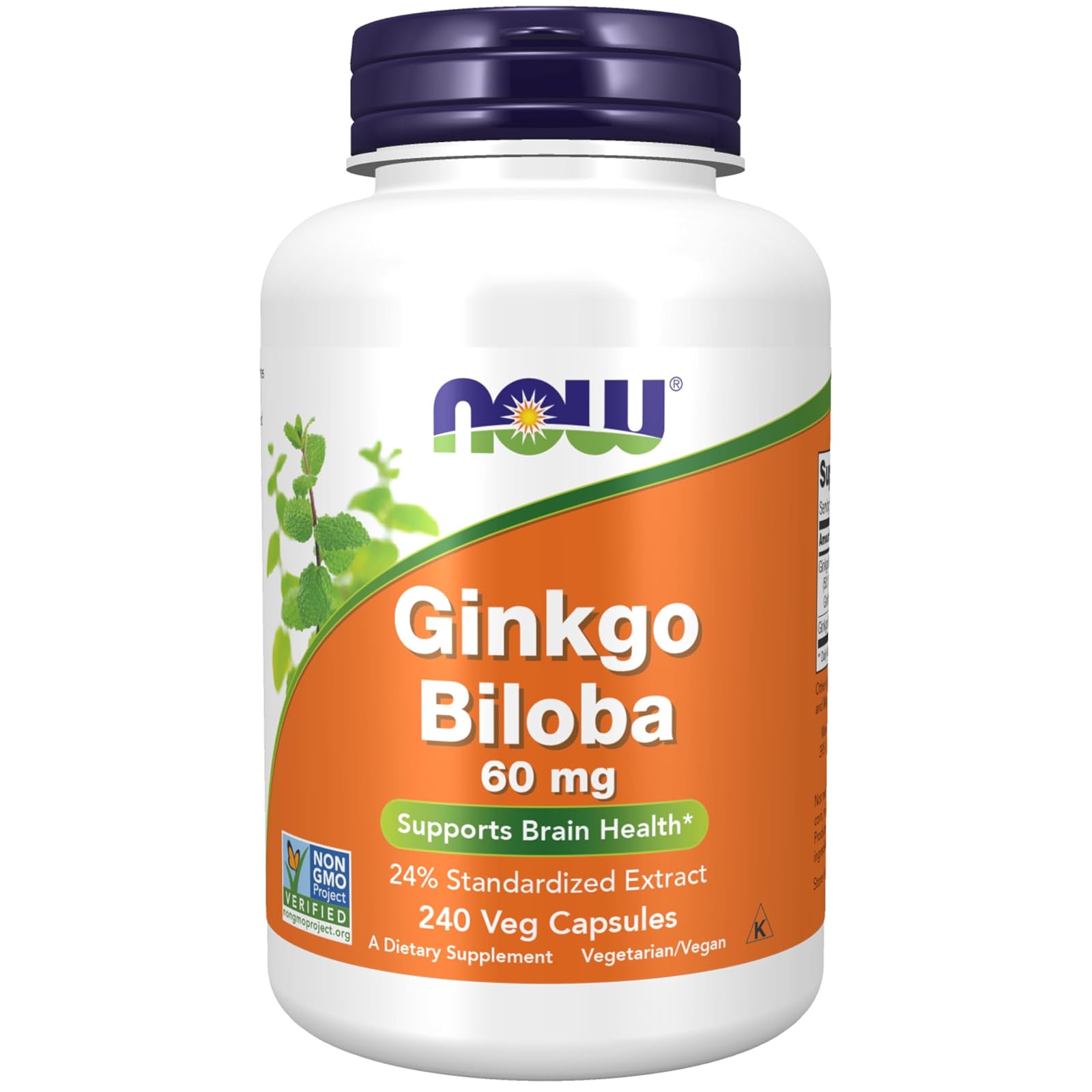 ginkgo biloba herbal supplement capsules