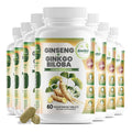 Ginkgo Biloba herbal supplement capsules