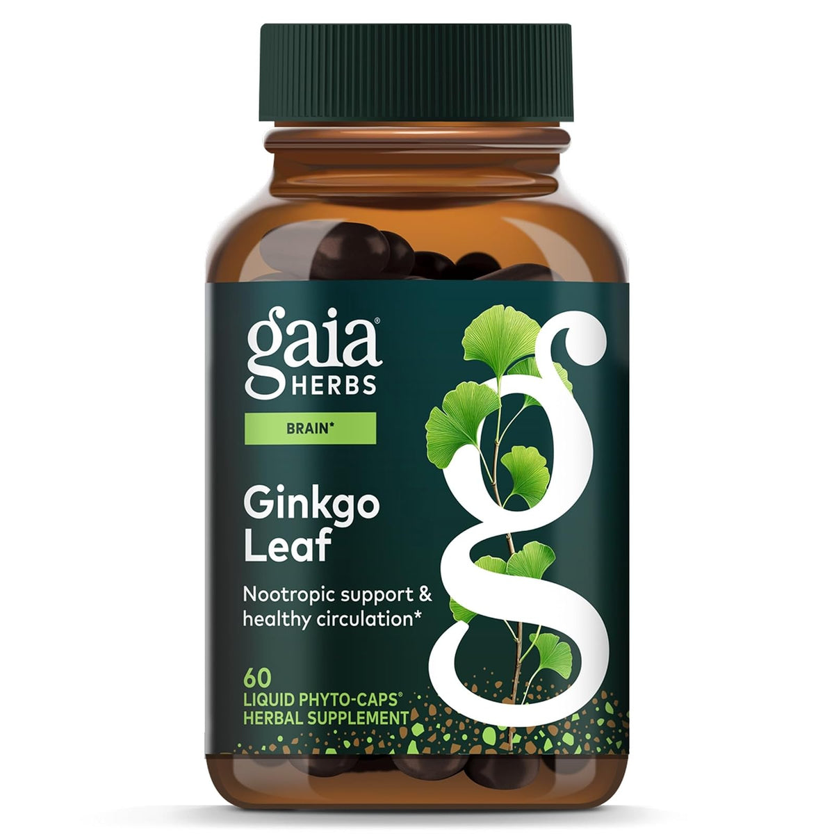 ginkgo biloba herbal supplement capsules