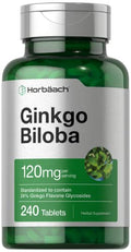 ginkgo biloba herbal supplement tablets