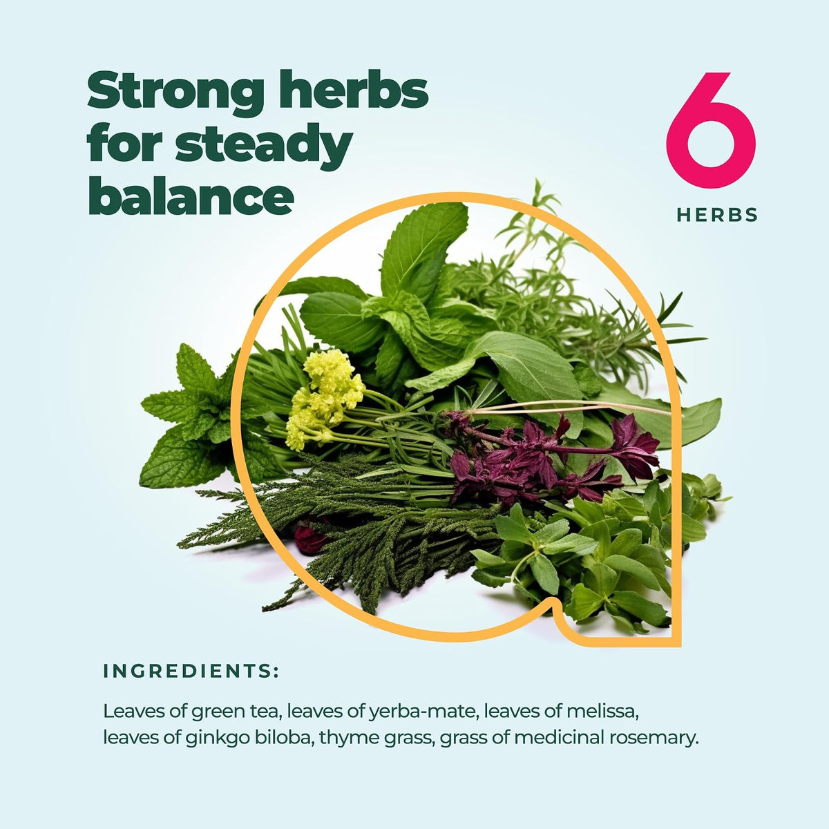Ginkgo biloba herbal tea blend
