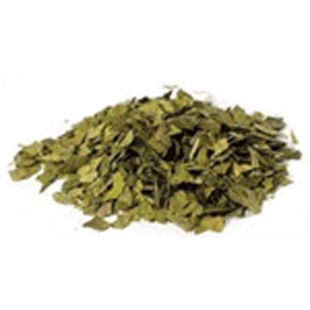 ginkgo biloba leaf cut benefits