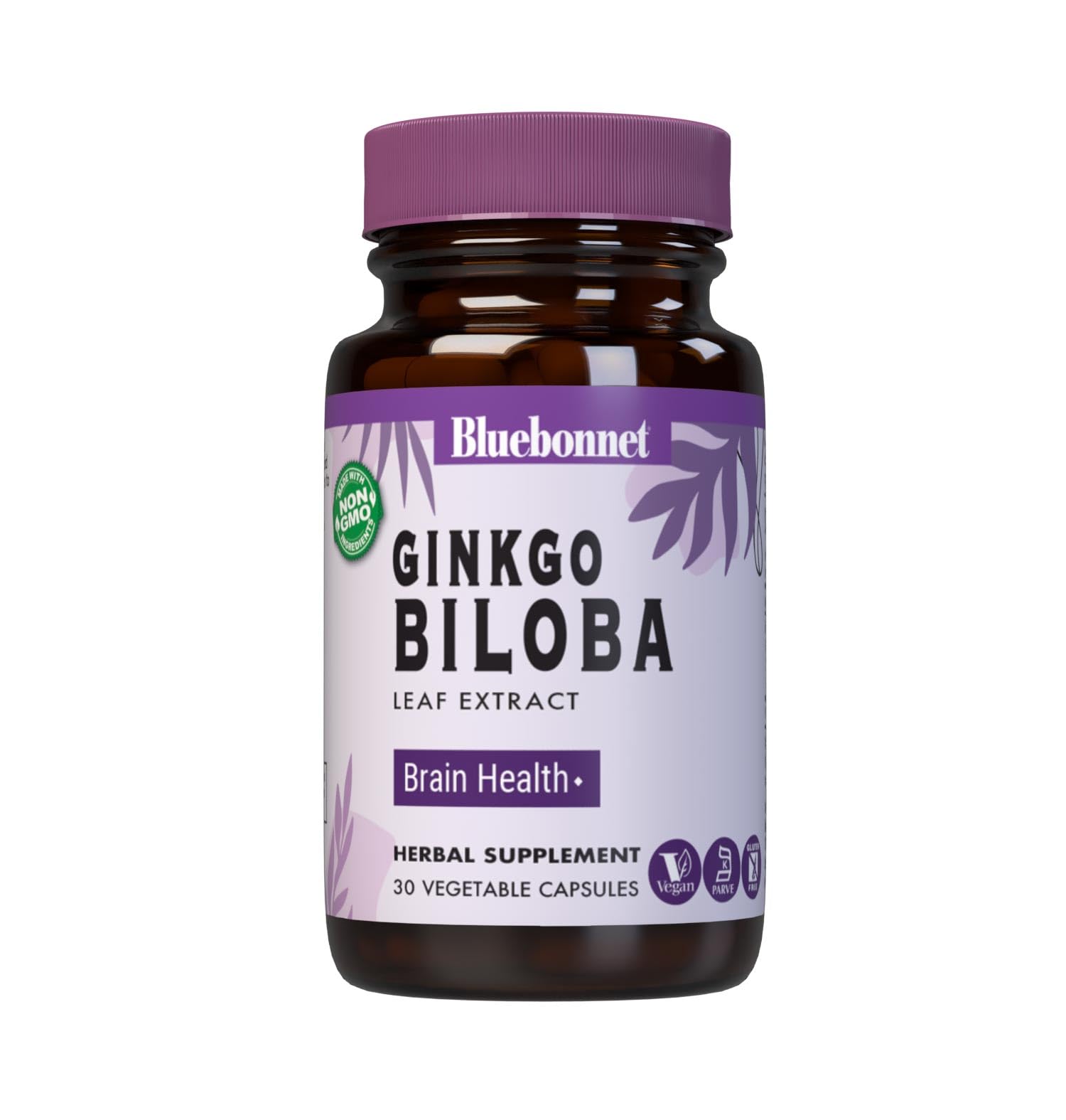 ginkgo biloba leaf extract benefits