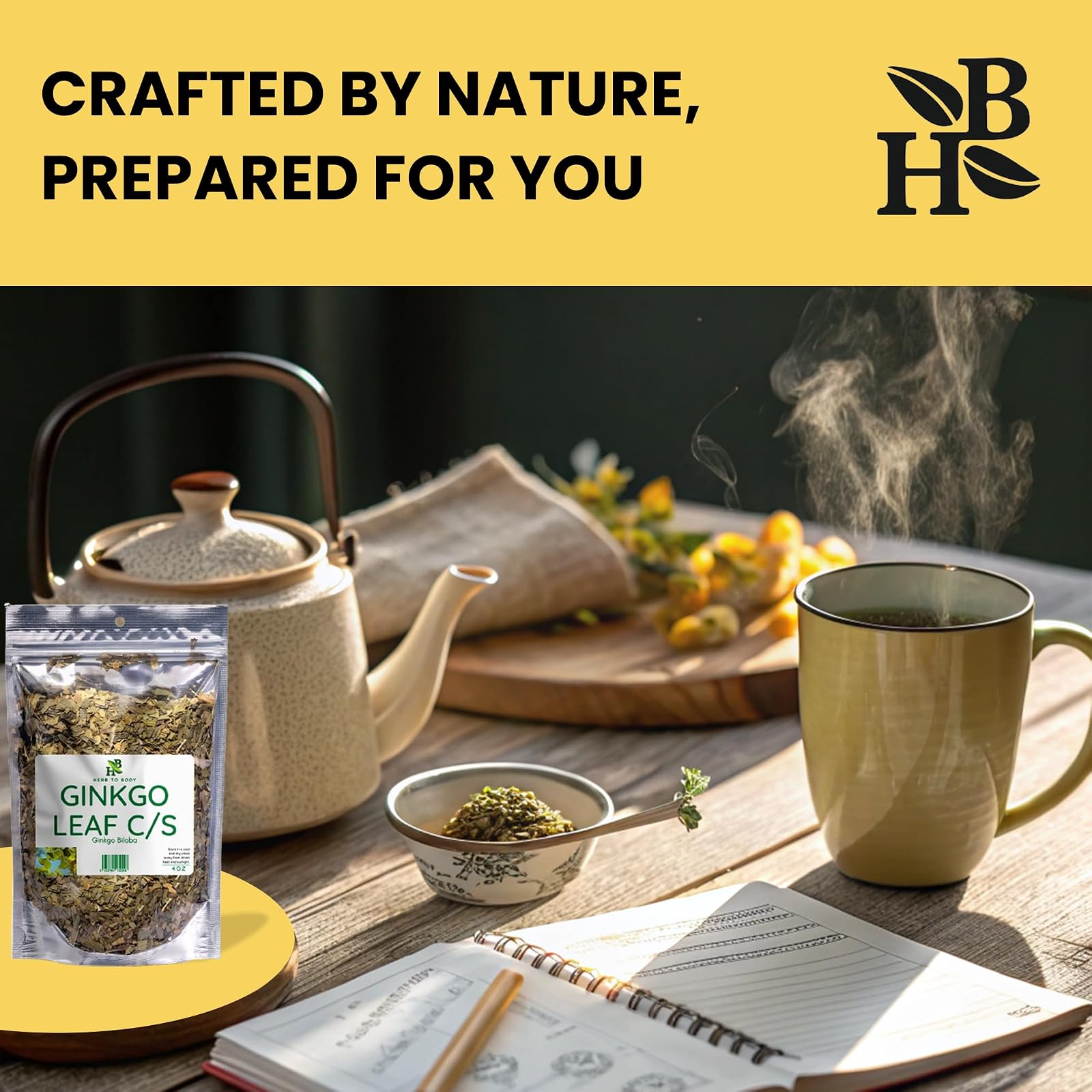 ginkgo biloba leaf for cognitive support