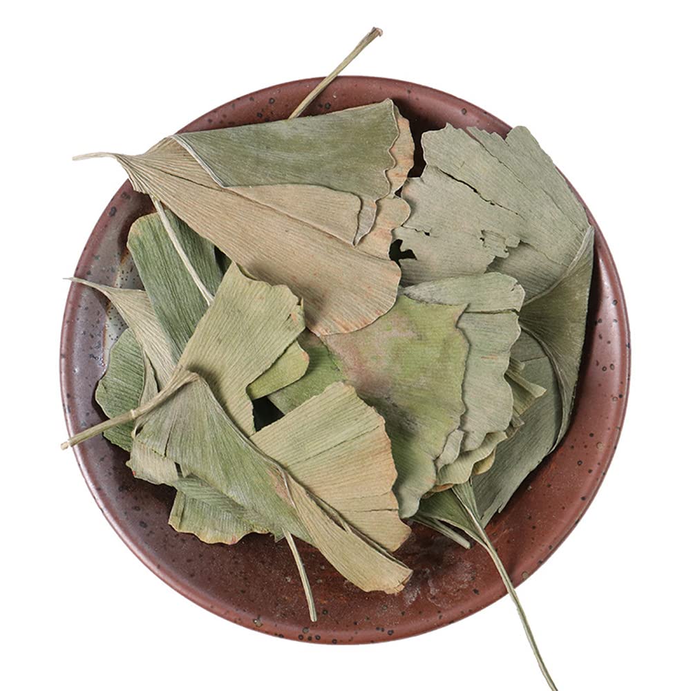 ginkgo biloba leaves for improved focus