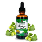 ginkgo biloba liquid extract benefits