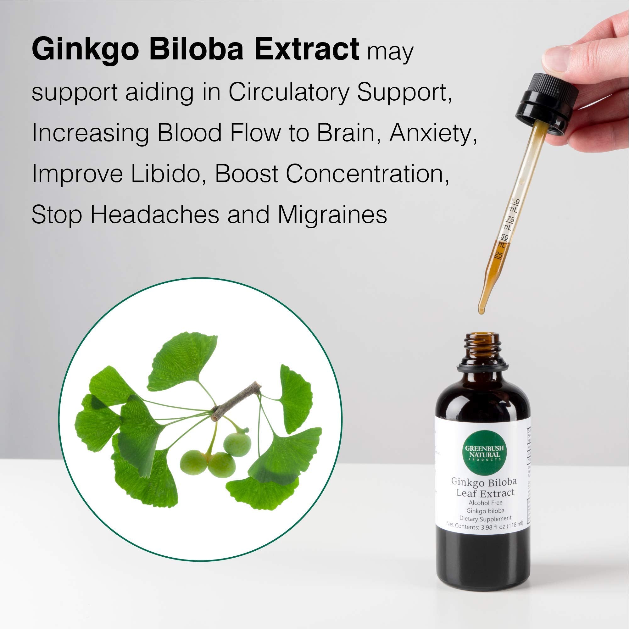 ginkgo biloba liquid for better focus