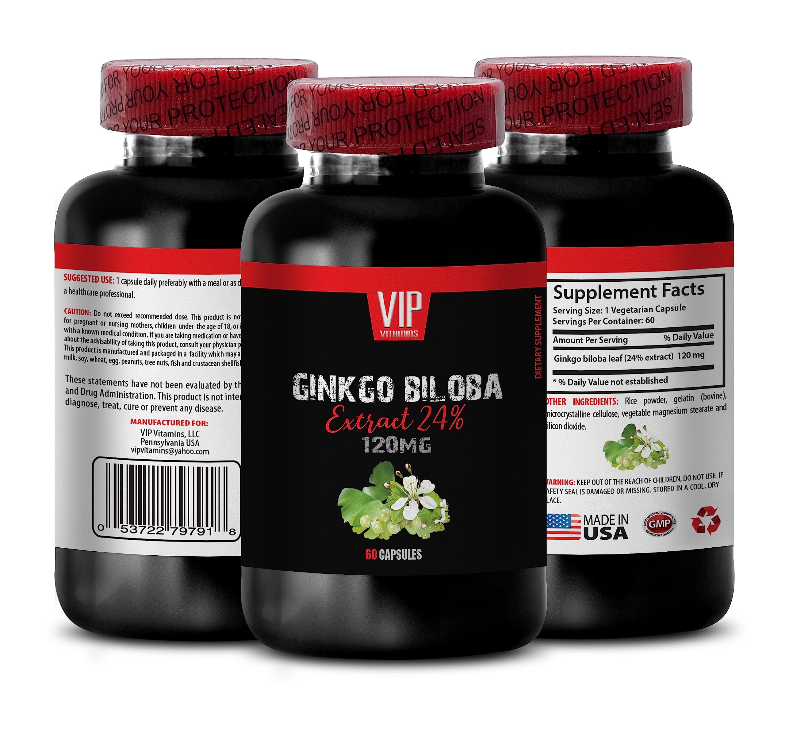 ginkgo biloba memory booster capsules