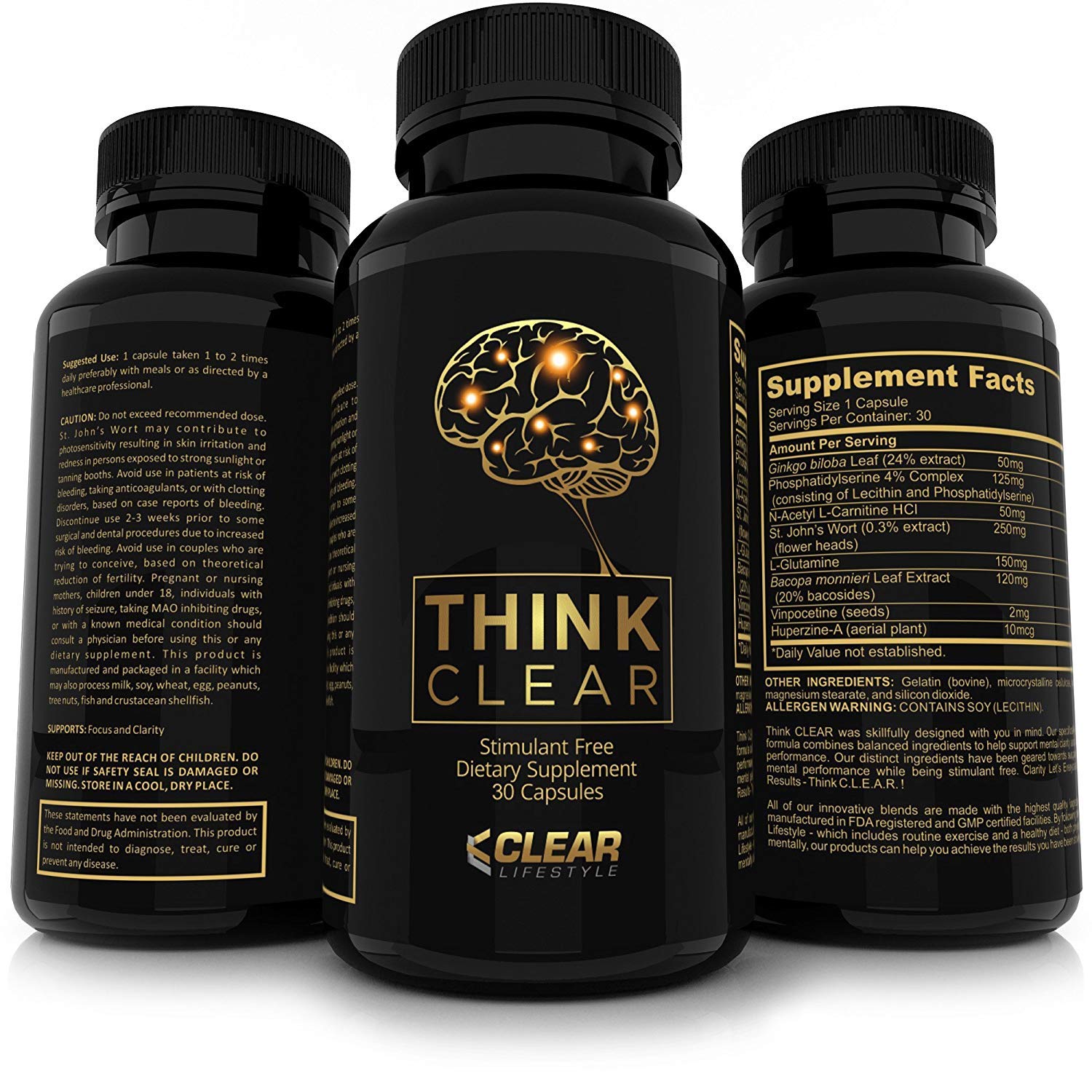 ginkgo biloba memory booster pills