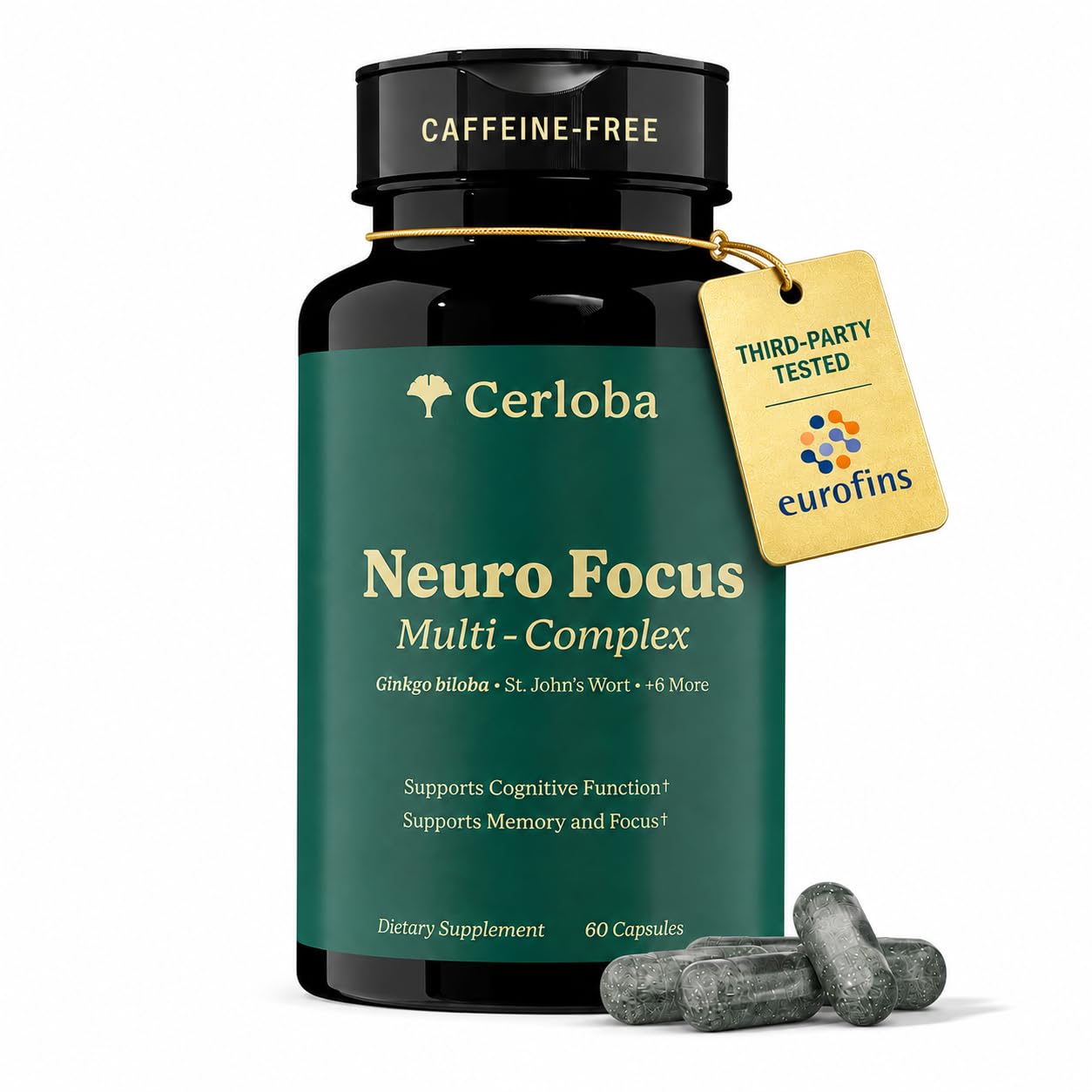 Ginkgo Biloba memory enhancement capsules