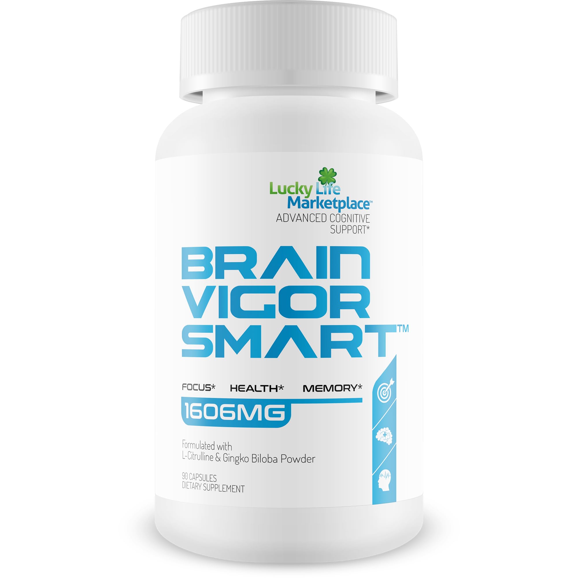 ginkgo biloba memory enhancement supplement