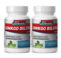 ginkgo biloba memory support supplement