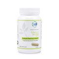 ginkgo biloba memory support tablets