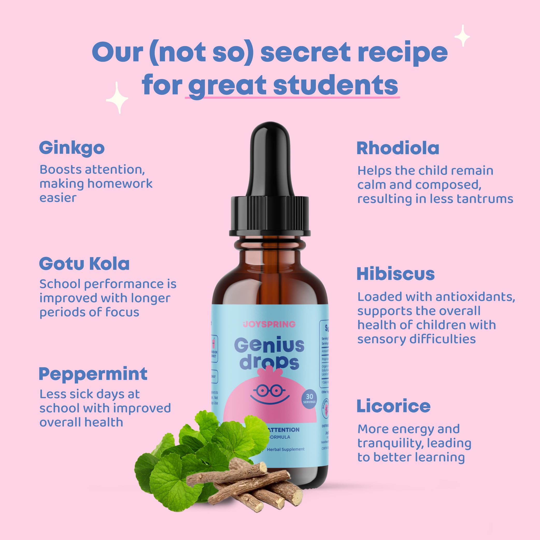 ginkgo biloba nootropics for youth
