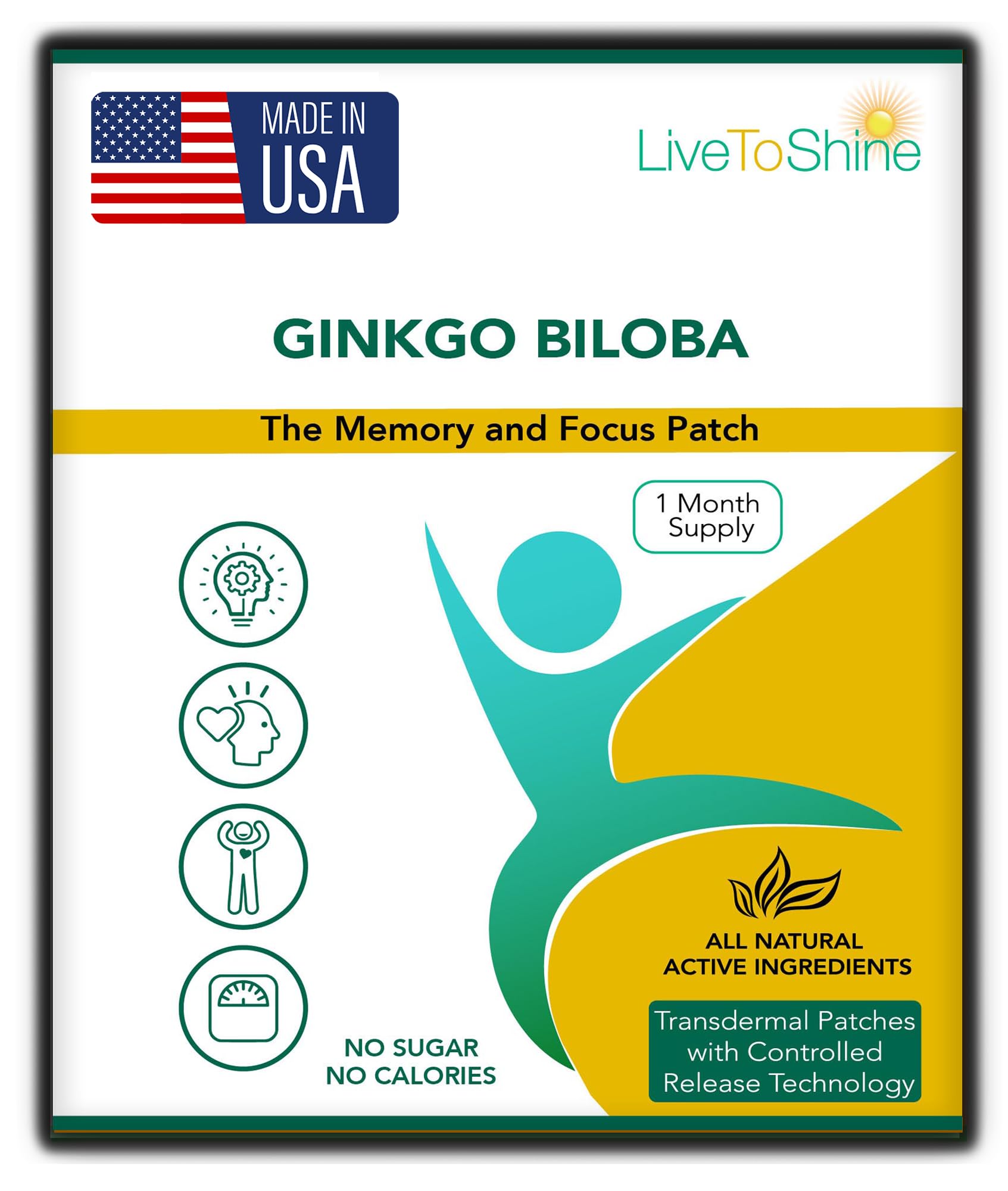 Ginkgo Biloba patch for memory
