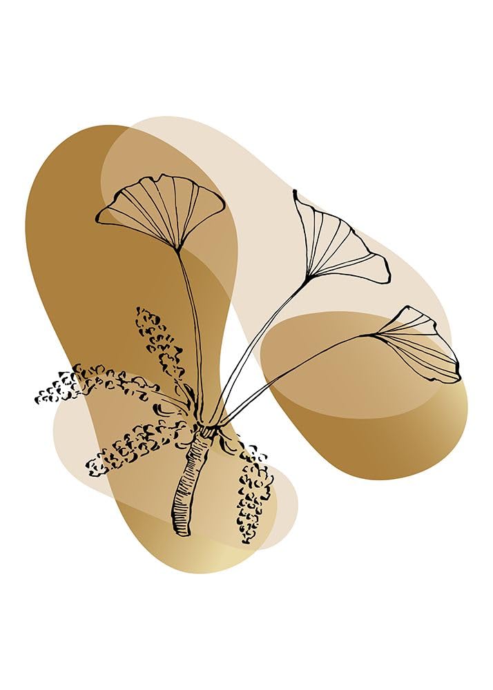ginkgo biloba poster print for home decor