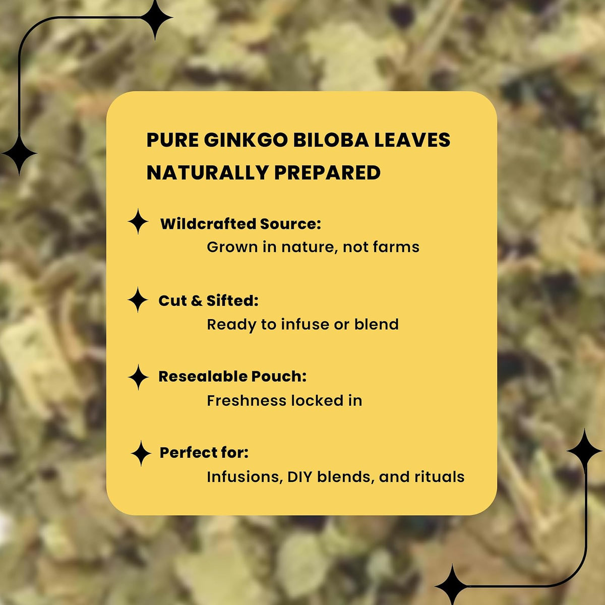 Ginkgo biloba powder for cognitive support