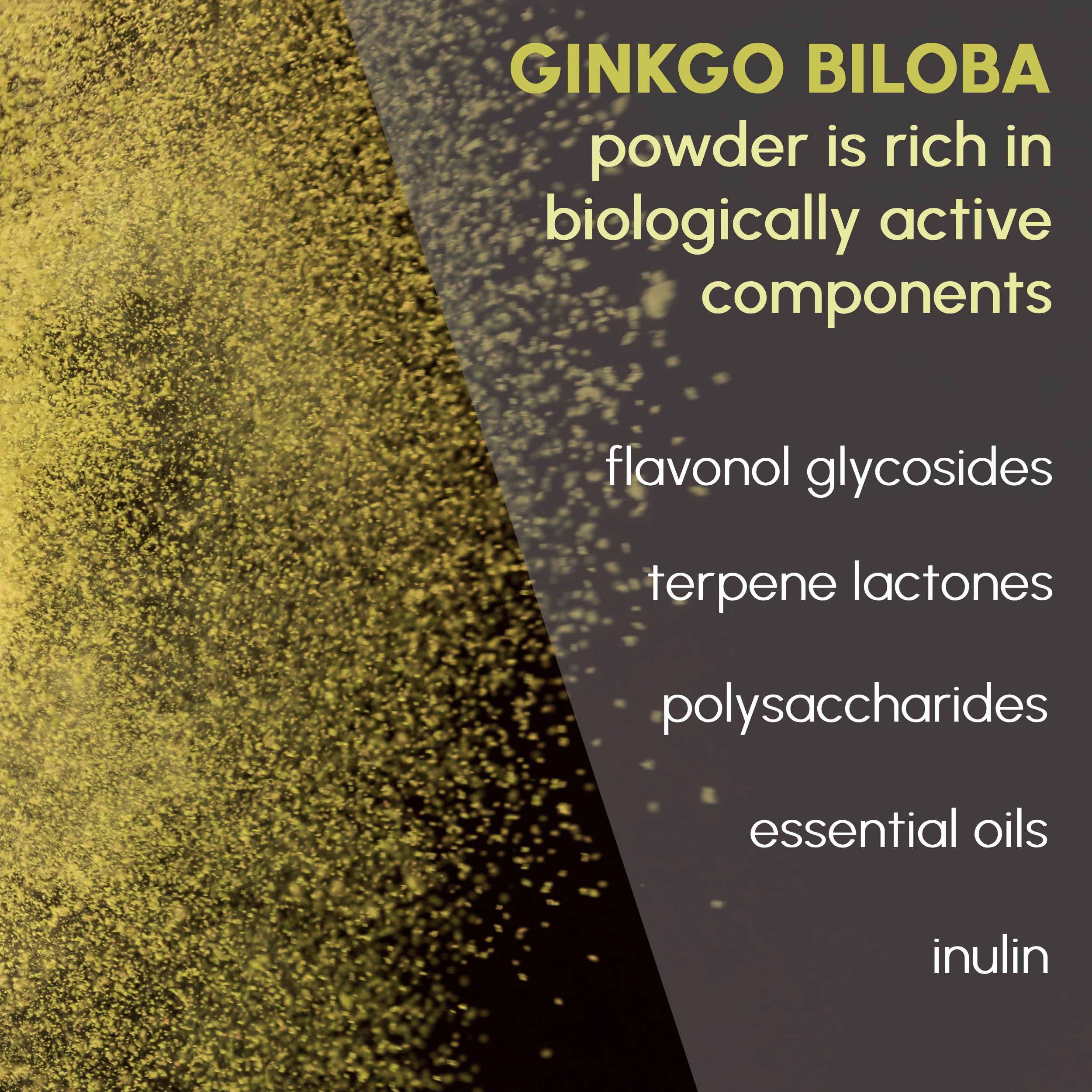 ginkgo biloba powder for enhanced focus