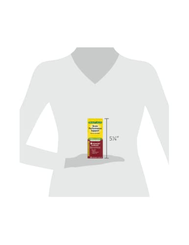 ginkgo biloba supplement for better focus