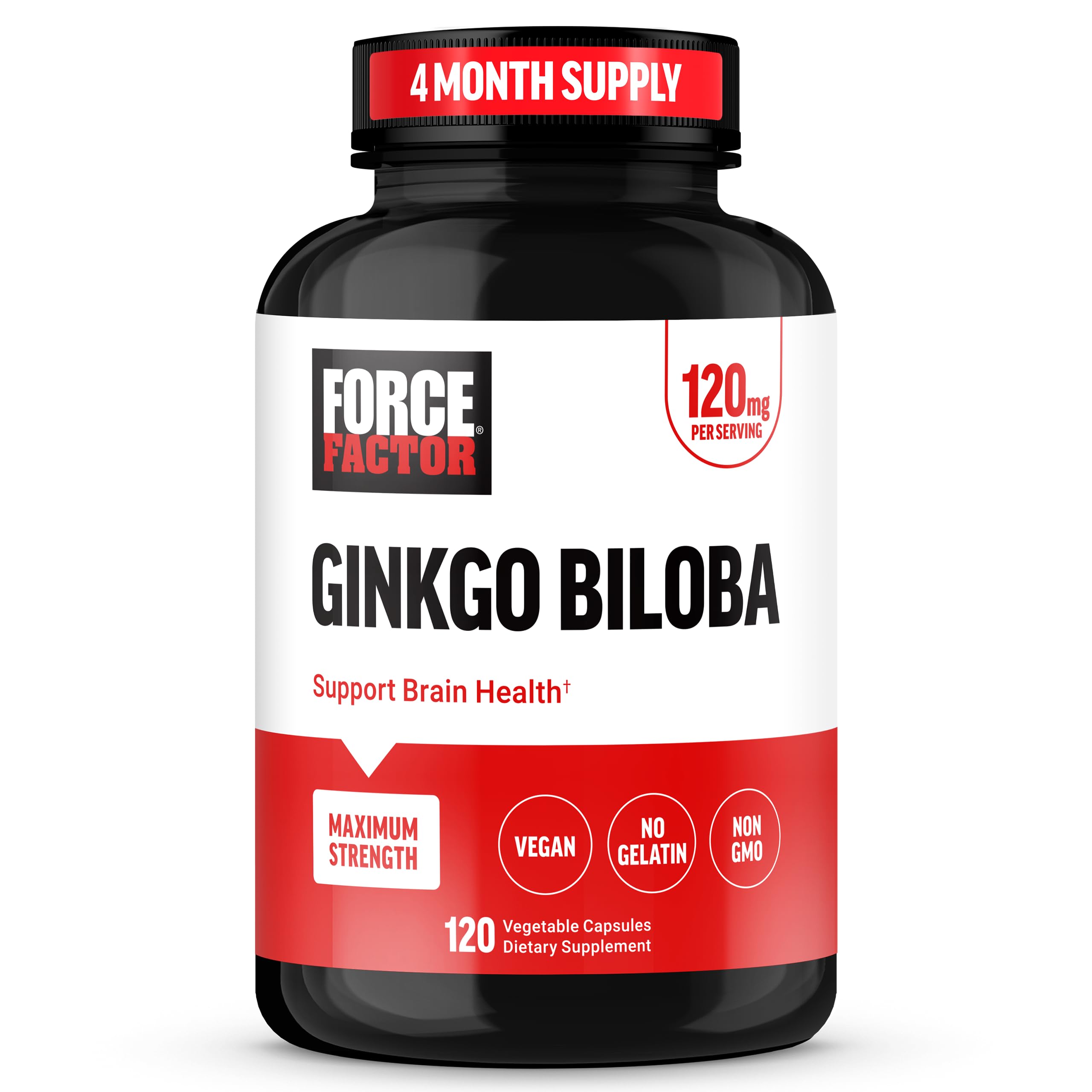 ginkgo biloba supplement for brain health