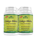 ginkgo biloba supplement for brain health