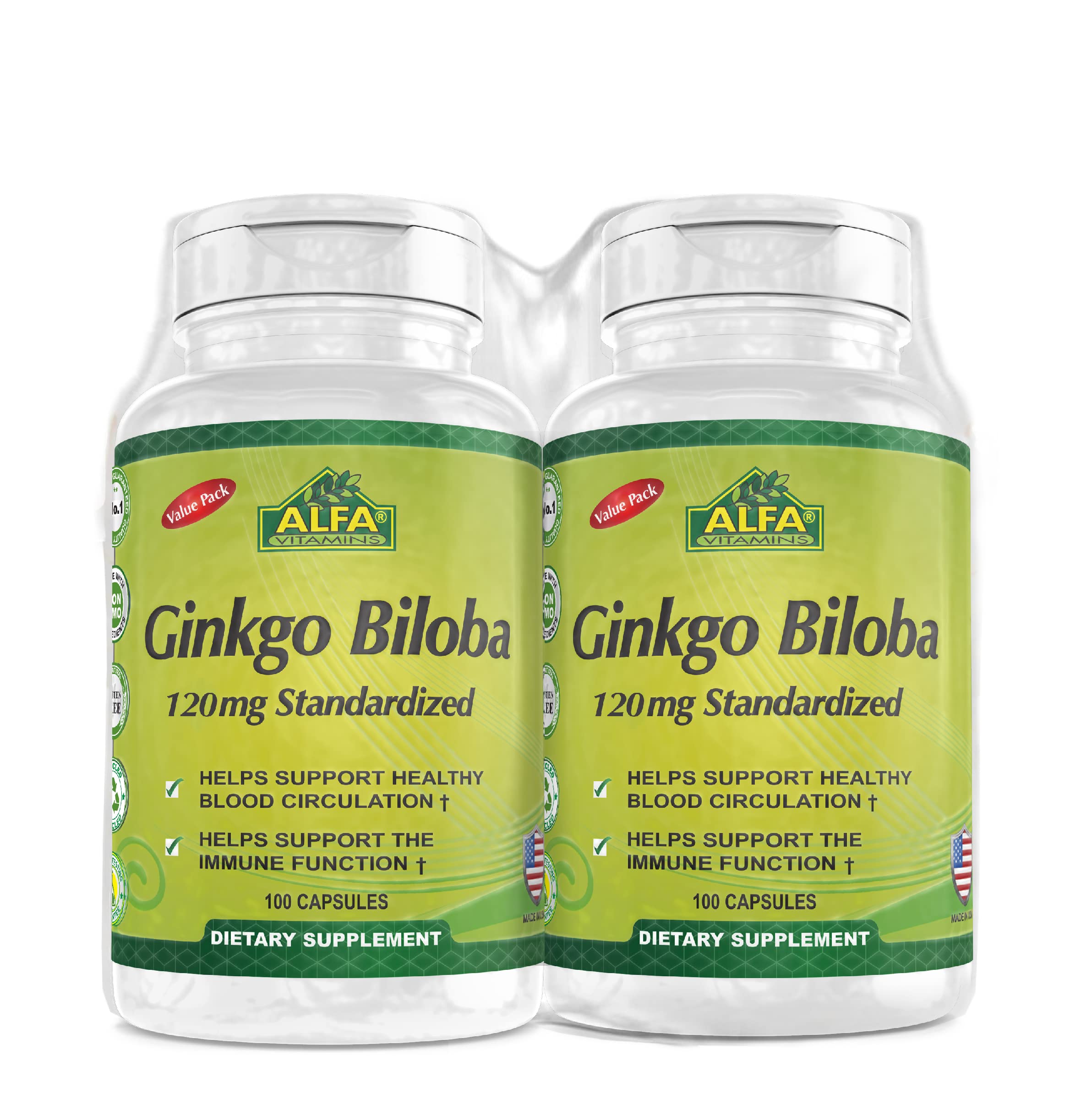 ginkgo biloba supplement for brain health