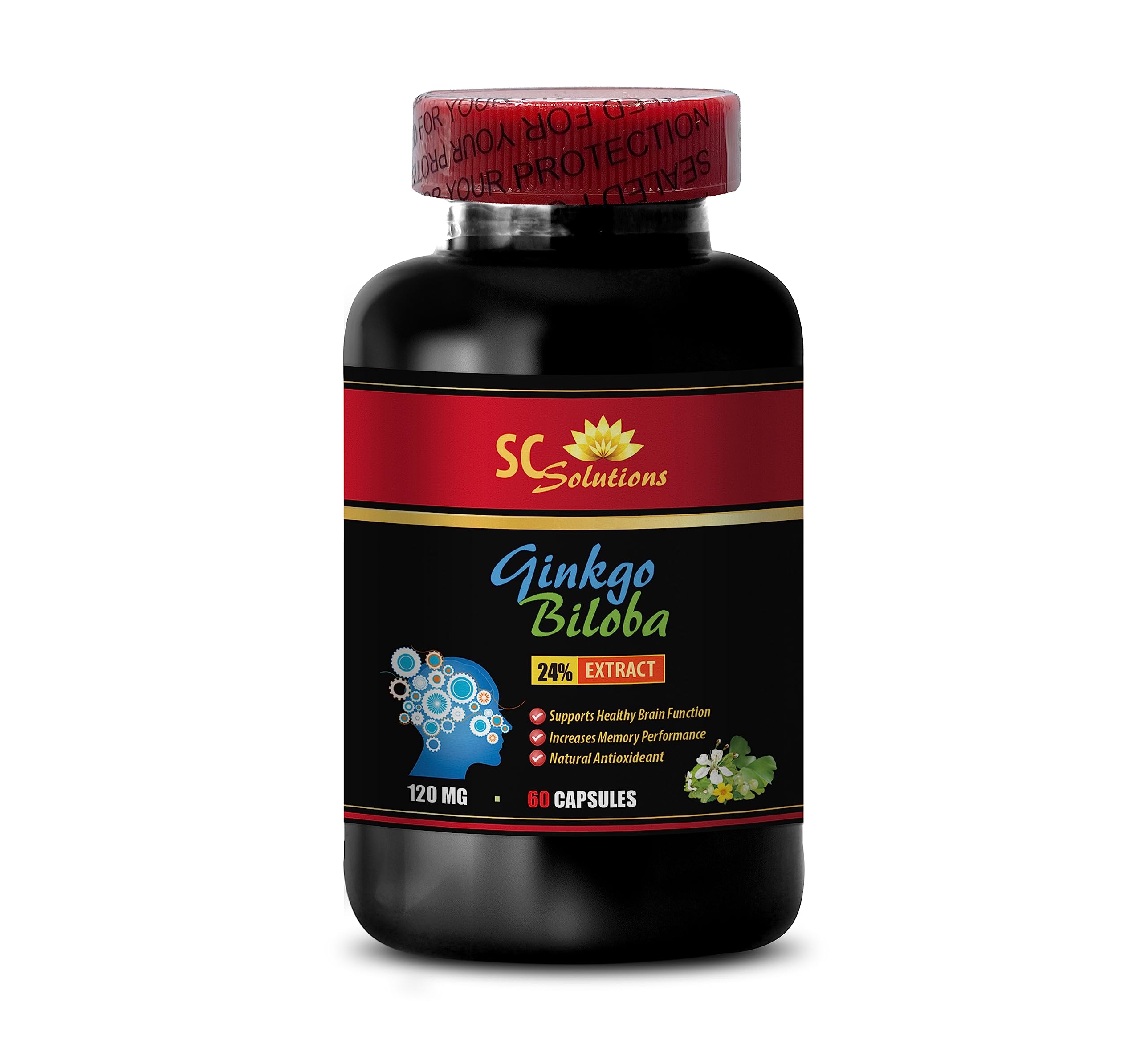 ginkgo biloba supplement for brain health