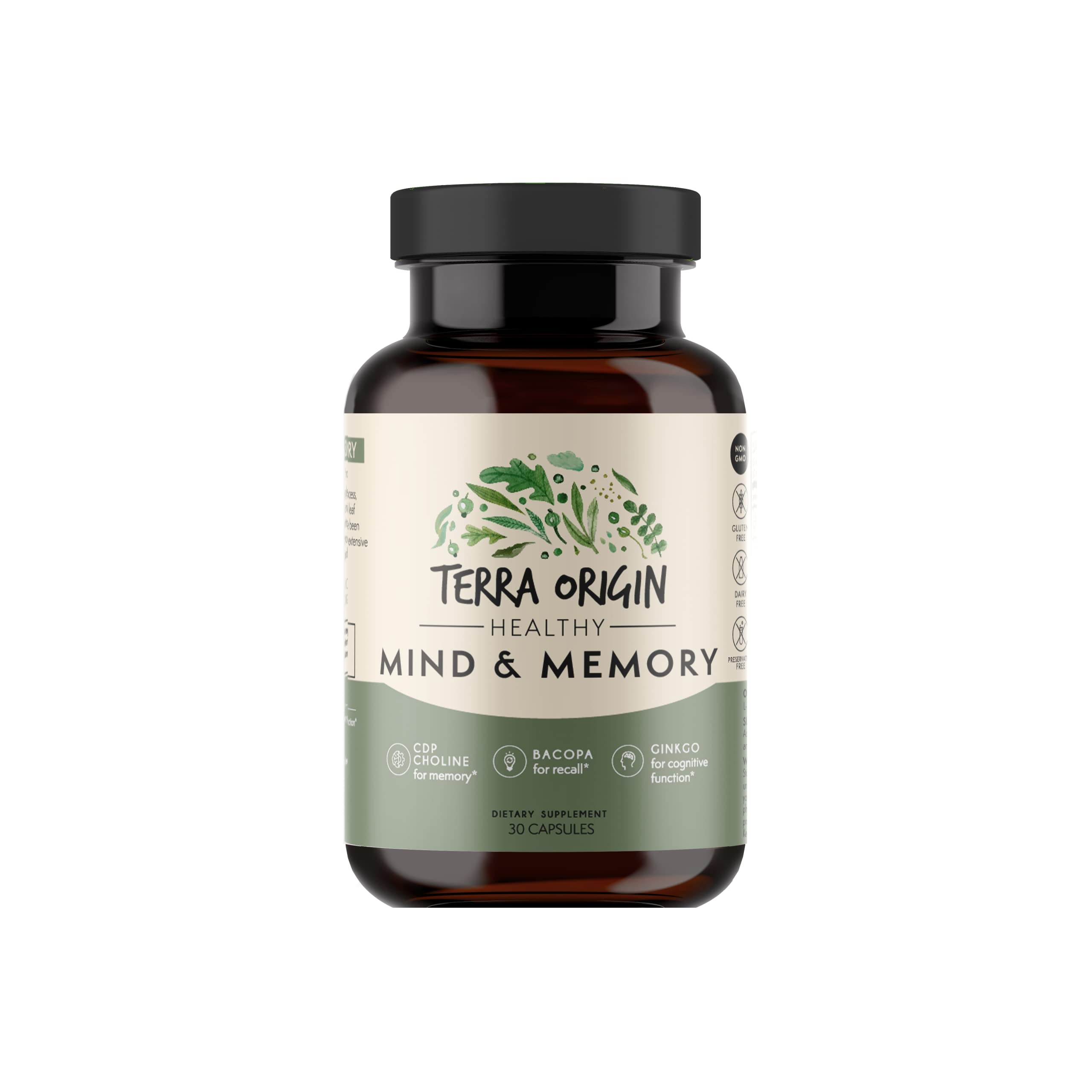 ginkgo biloba supplement for cognitive health