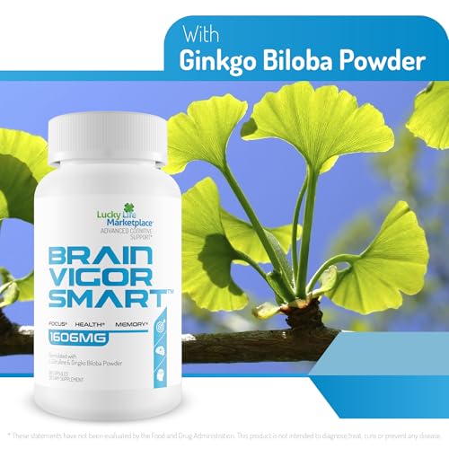 ginkgo biloba supplement for cognitive support