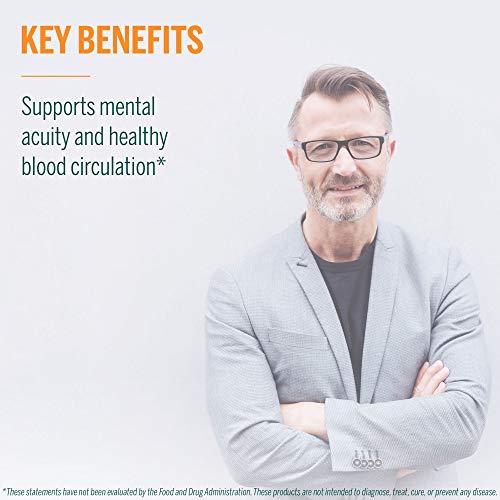 ginkgo biloba supplement for daily energy