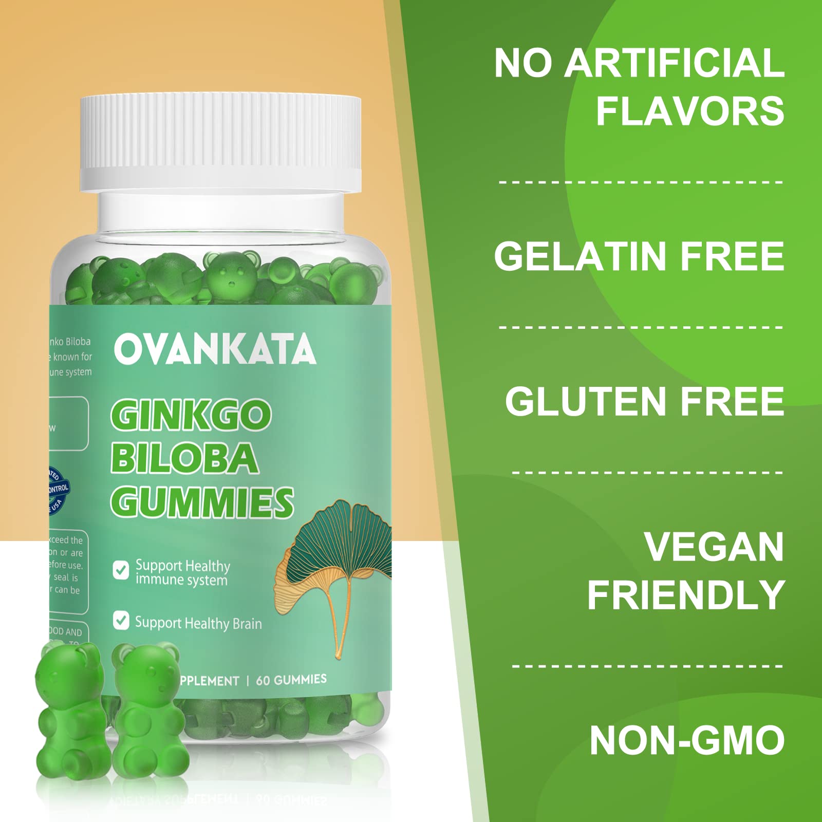 ginkgo biloba supplement for daily use