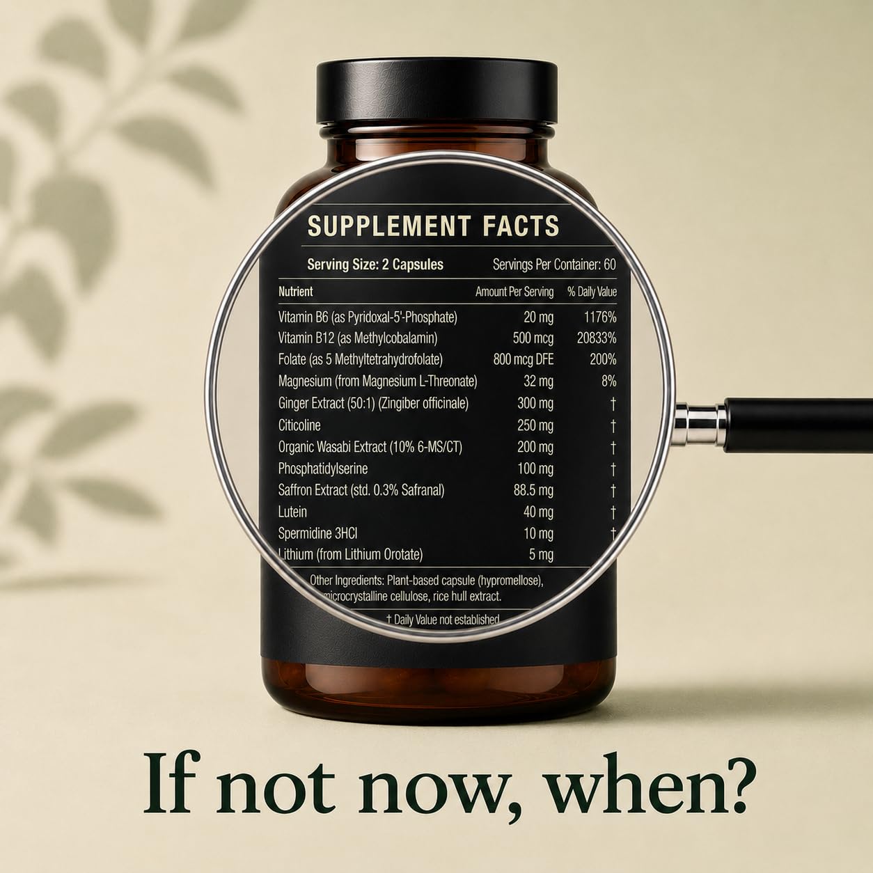 ginkgo biloba supplement for daily wellness