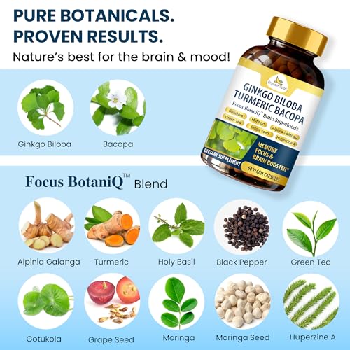 Ginkgo biloba supplement for focus improvement