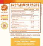ginkgo biloba supplement for focus