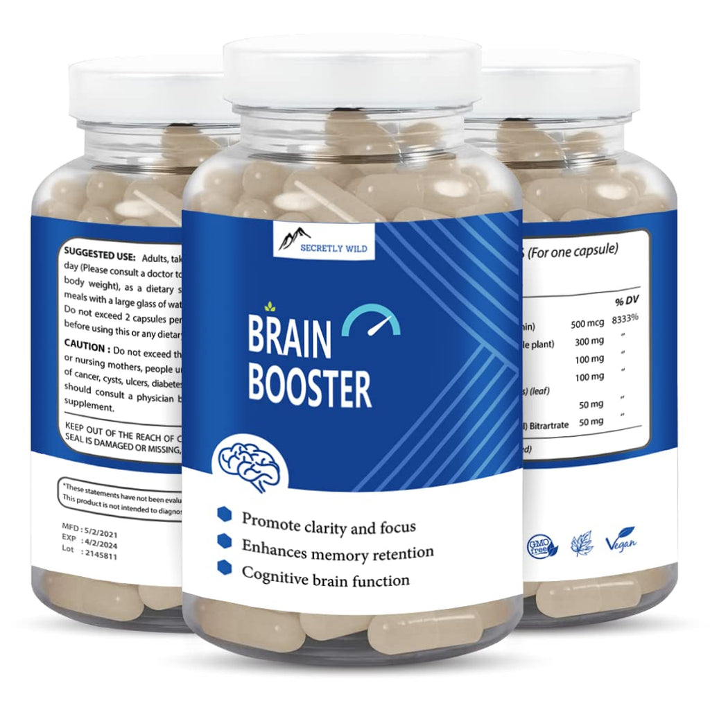 ginkgo biloba supplement for focus