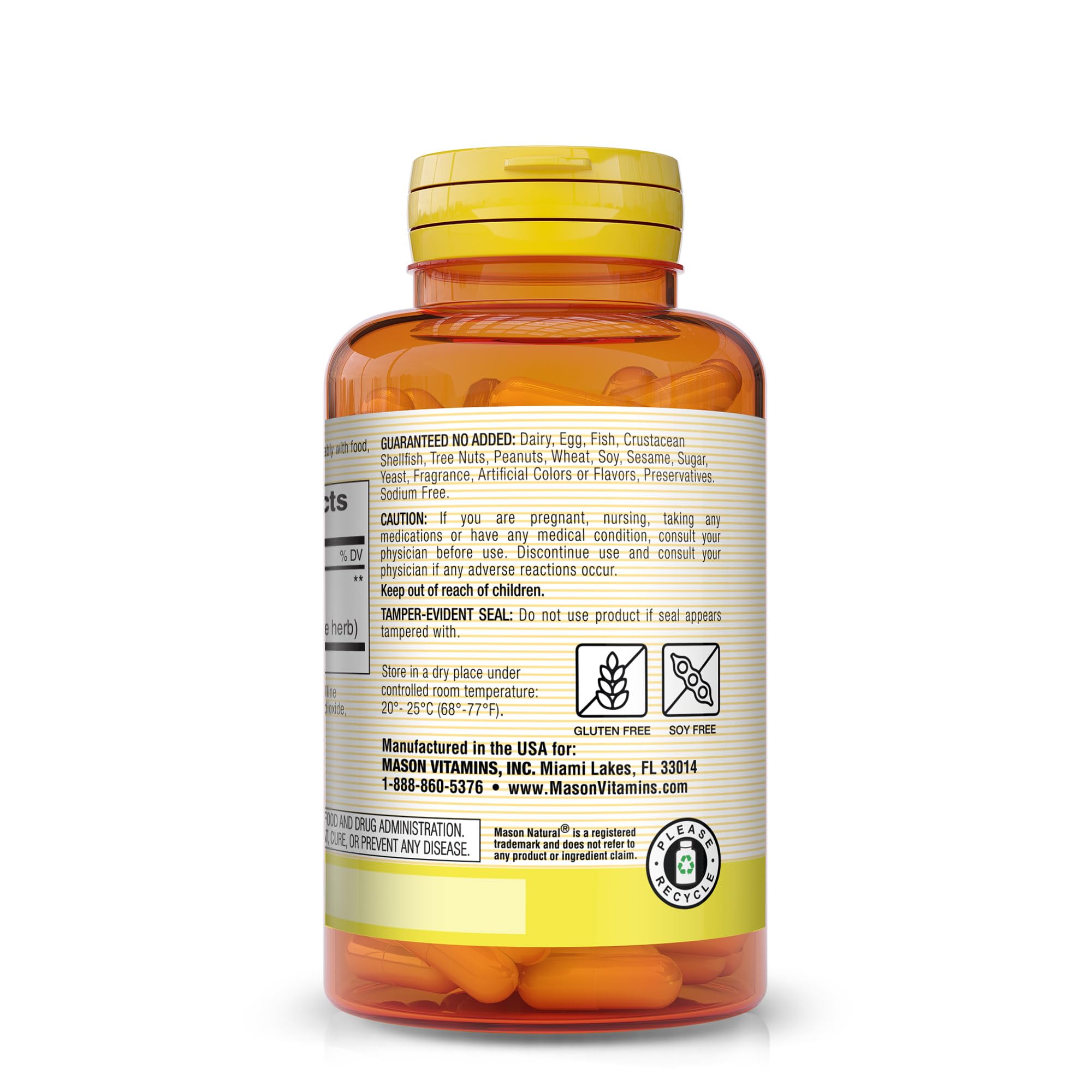 ginkgo biloba supplement for improved focus
